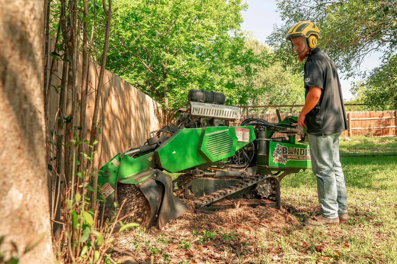 Thank You | Master Tree Trimming Request Received
